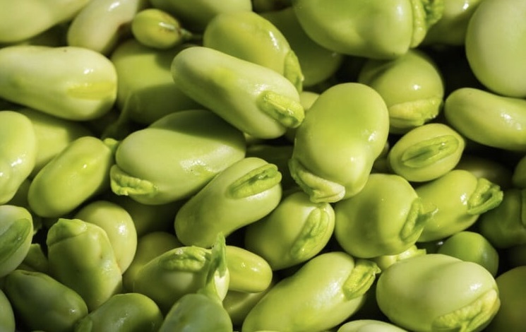 Bób to taka zielona fasola z łechtaczką