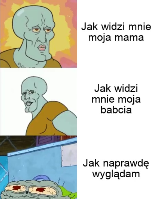 Gimper Memes