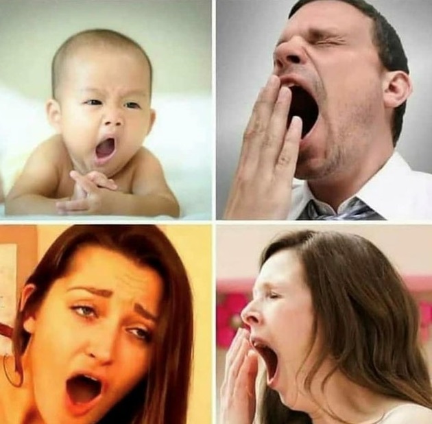 Założę się, że ziewniesz po zobaczeniu tych zdjęć. Ziewanie jest bardzo ...