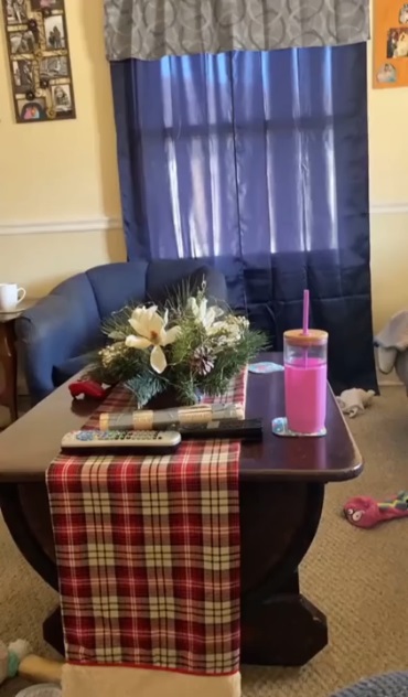 Pies prosi o ciastko